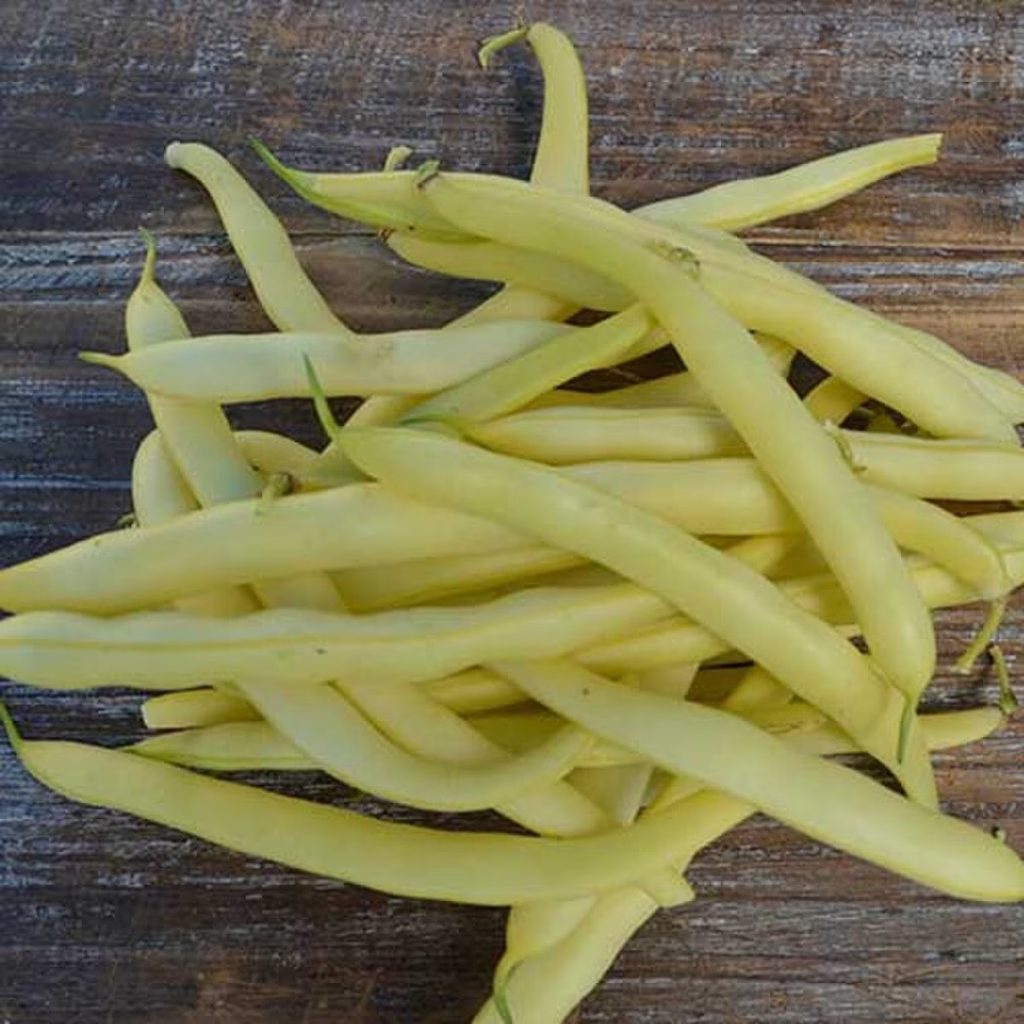 BEAN, PENCIL POD GOLDEN WAX - Garden Center - MN