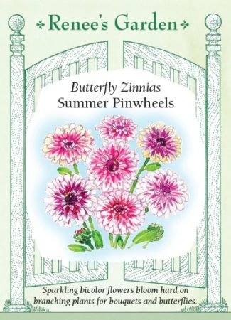 ZINNIA SUMMER PINWHEELS - Garden Center - MN